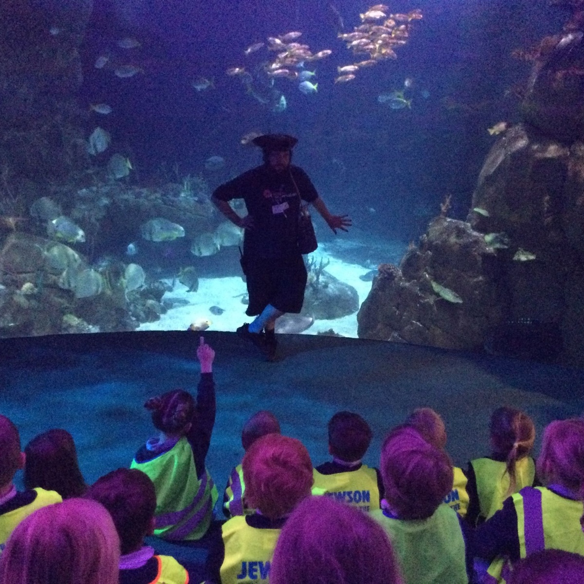 Stokenham Primary School - Receptions Trip to the Aquarium