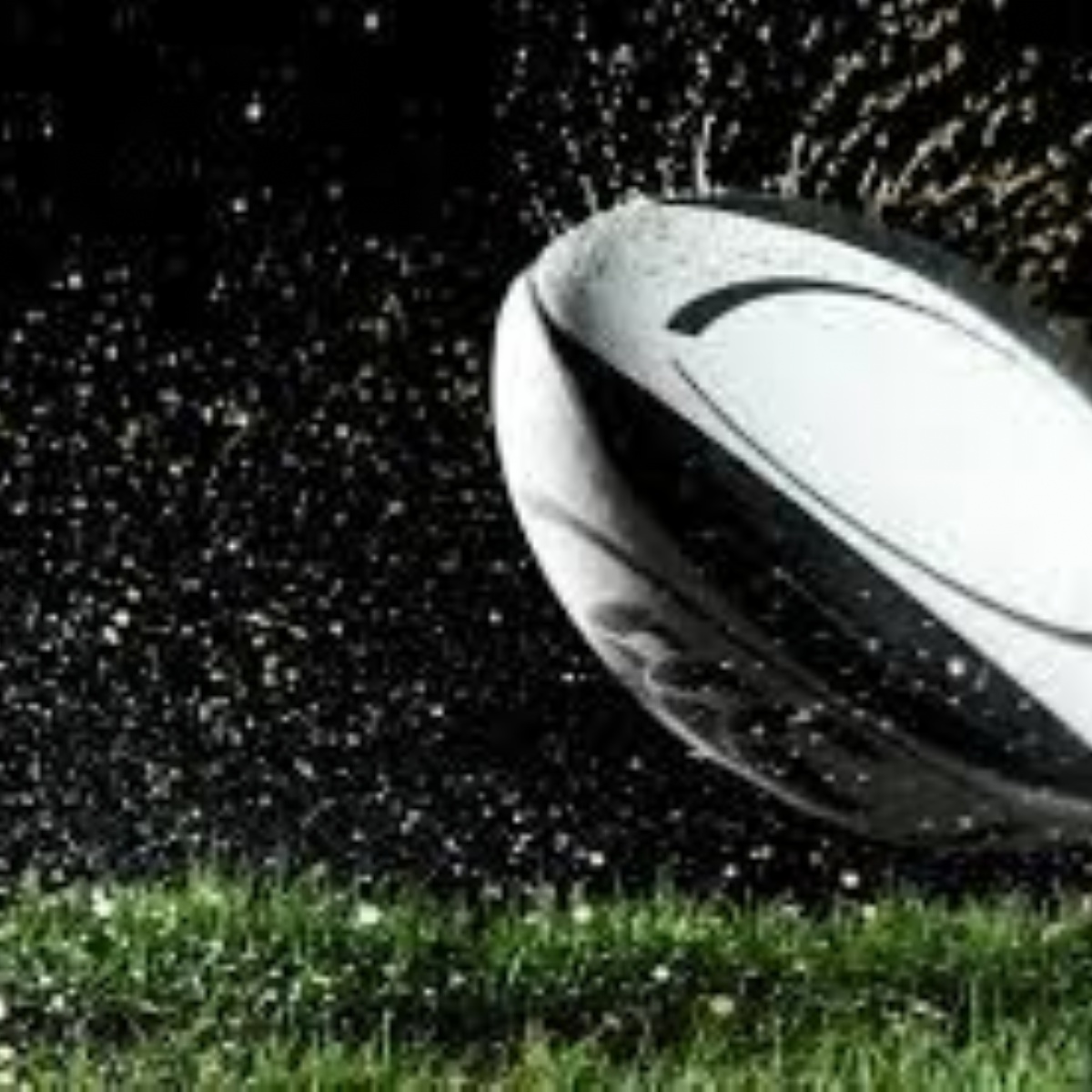 Stokenham Primary School - Tag Rugby Festival