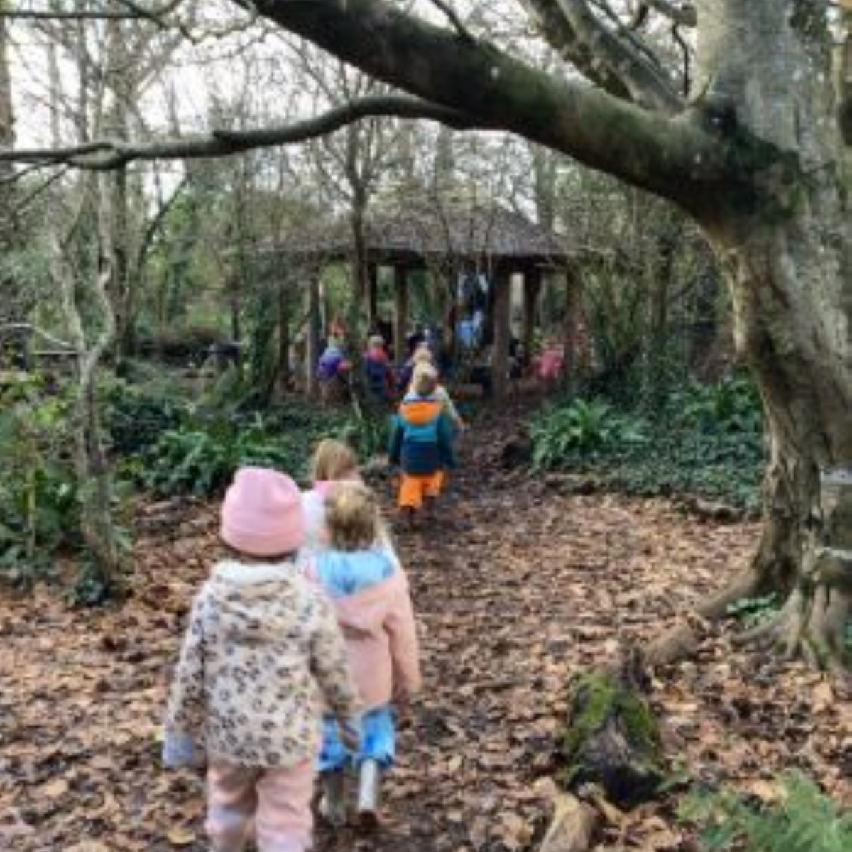 Stokenham Primary School - Forest School Fun for Reception!